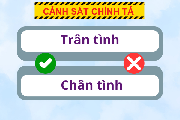 Trân tình hay Chân tình: Ý nghĩa và cách viết chuẩn